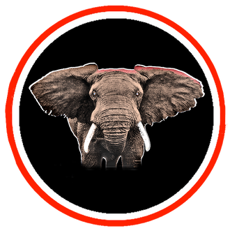 KZEW Stickers and Shirts – kzewstore